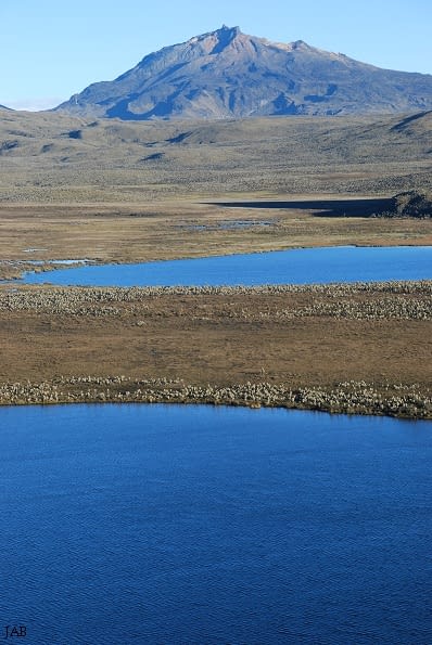 El Ángel, reserva ecológica – HomoAerius